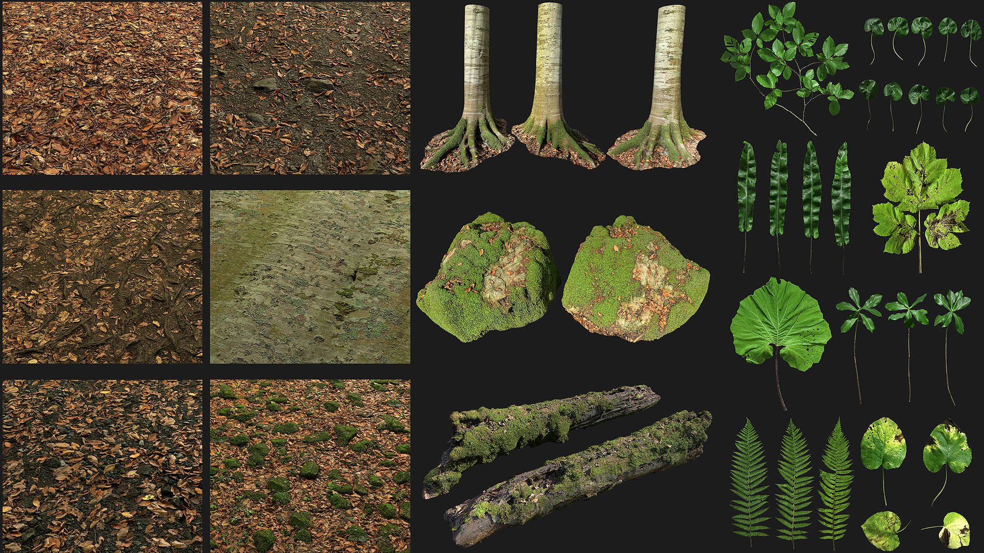 ScansLibrary Texture 3D Asset Atlas